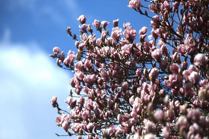 Father Dankasa: Summer again, or is it winter? Coming to terms with our ...