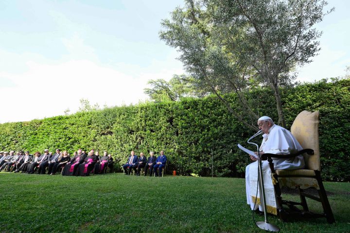 Under olive tree planted as sign of peace, pope begs God to help Holy Land – Texas Catholic